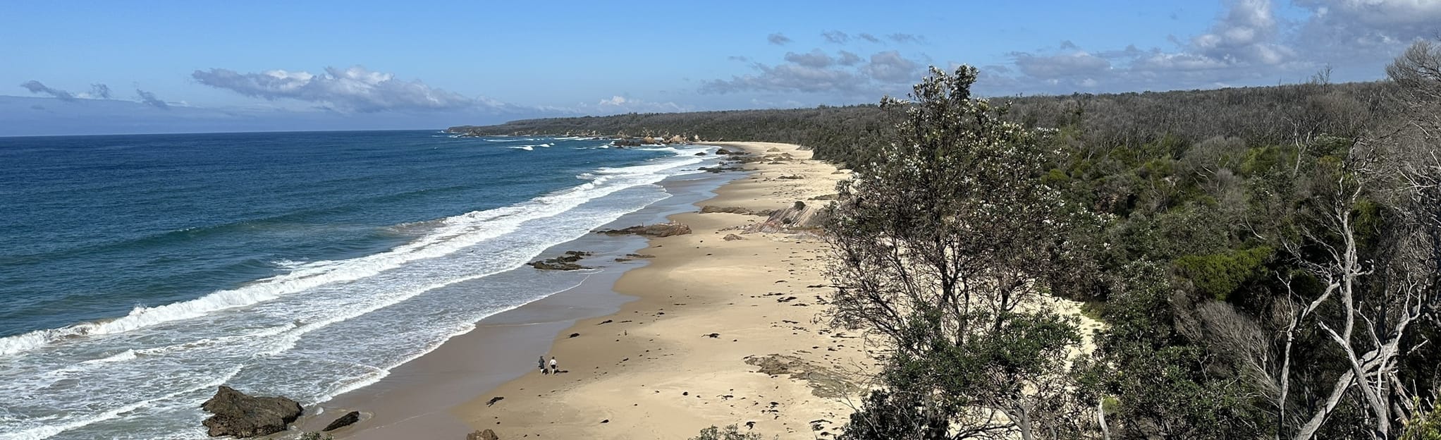 Mallacoota Loop via Miners Track via Betka Track: 5 Reviews, Map ...