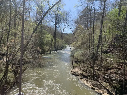 10 Best Trails and Hikes in Alabama | AllTrails