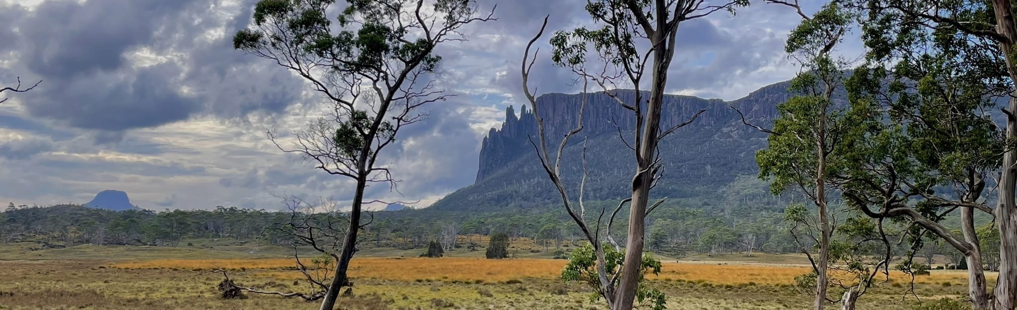Arm River Track to New Pelion Hut, Tasmania, Australia - 52 Reviews ...