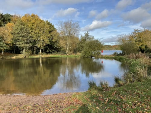 2023 Best Partially Paved Trails in Alsager | AllTrails