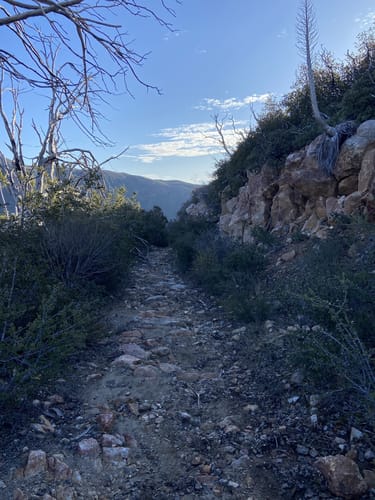 Best Hikes and Trails in Julian County Park | AllTrails