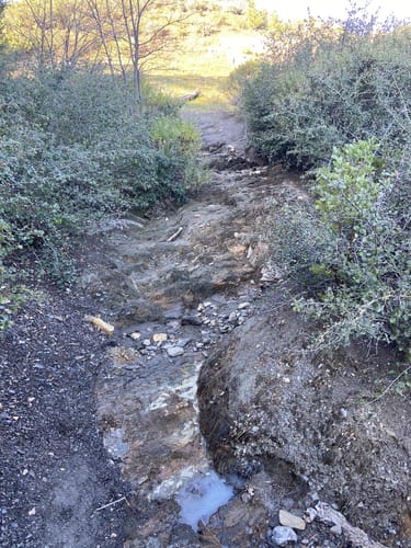 Best Hikes and Trails in Julian County Park | AllTrails