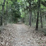 Pitcher Plant Trail, Texas - 239 Reviews, Map | AllTrails