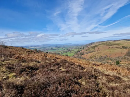 2023 Best 10 Long Trails in Quantock Hills Area of Outstanding Natural ...