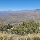 Douglas Spring Camp via Douglas Spring Trail, Arizona - 468 Reviews ...