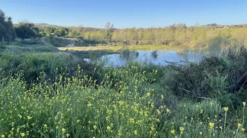 Best 10 Hiking Trails in Irvine Regional Park | AllTrails