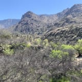 Sutherland Trail, Arizona - 207 Reviews, Map | AllTrails