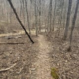 Cave Spring Loop Trail, Missouri - 326 Reviews, Map | AllTrails
