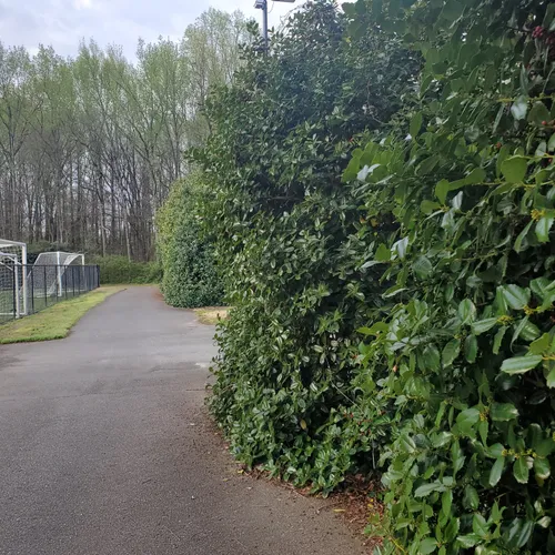 Best Hikes and Trails in Manchester Meadows | AllTrails