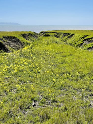 Best Hikes and Trails in Estero Bluffs State Park | AllTrails