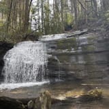 Appalachian Trail: Springer Mountain to Neels Gap, Georgia - 159 ...