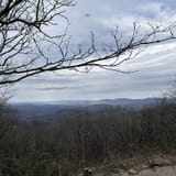 Appalachian Trail: Springer Mountain to Neels Gap, Georgia - 159 ...
