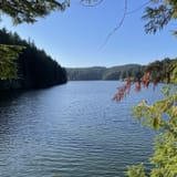 Eel Lake Trail, Oregon - 347 Reviews, Map | AllTrails