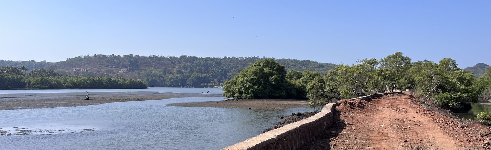 Nerul River Trail: 4 Reviews, Map - Goa, India | AllTrails