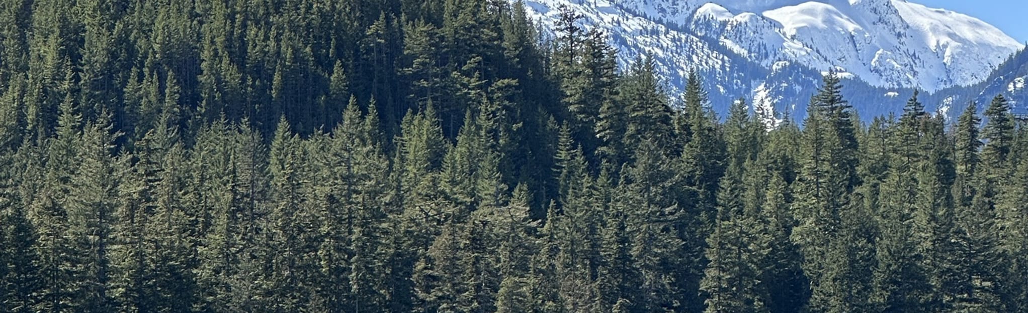 Levette and Hut Lake: 8 Reviews, Map - British Columbia, Canada | AllTrails