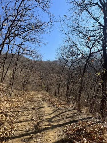 Best 10 Hiking Trails in Parque Nacional Benito Juárez | AllTrails