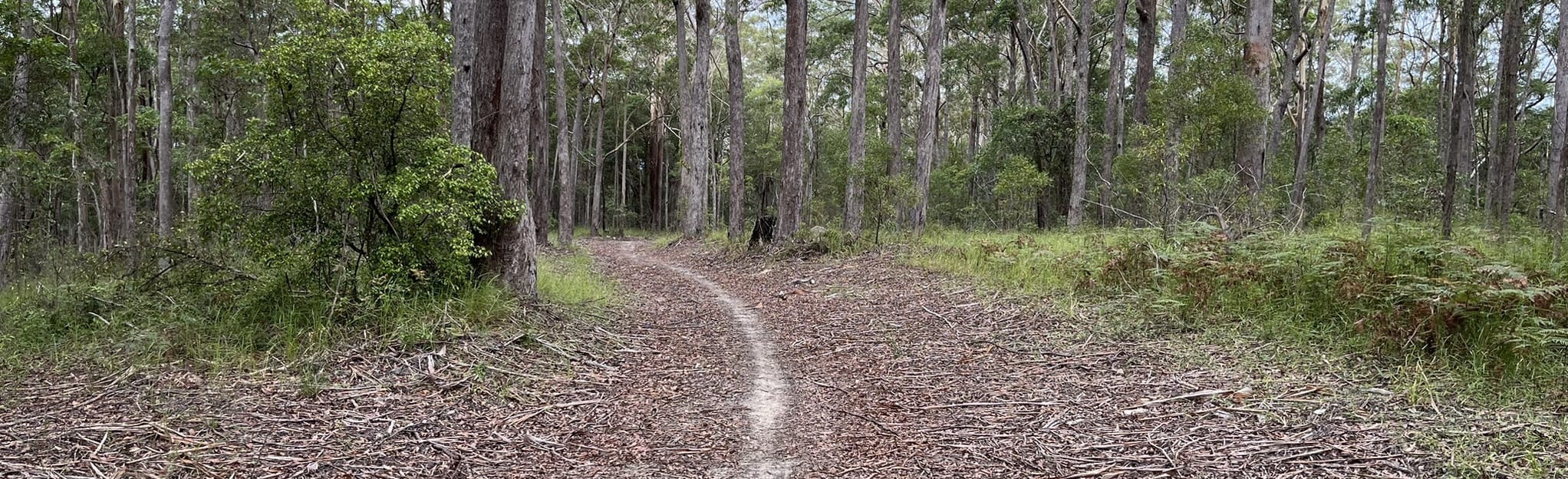 Hill, Madill, Coomber, and Traveston Road Loop: 11 Reviews, Map ...