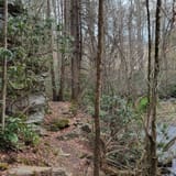 Peg Leg Mine Trail, Tennessee - 165 Reviews, Map | AllTrails