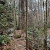 Peg Leg Mine Trail, Tennessee - 165 Reviews, Map | AllTrails