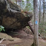 Peg Leg Mine Trail, Tennessee - 165 Reviews, Map | AllTrails