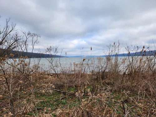 Best Hikes and Trails in Allan H. Treman State Marine Park | AllTrails