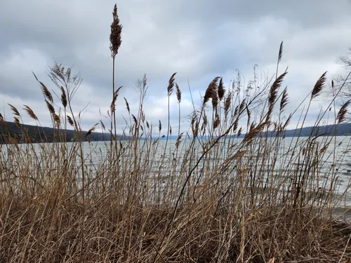 Best Hikes and Trails in Allan H. Treman State Marine Park | AllTrails