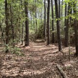 Four Notch Loop Trail, Texas - 387 Reviews, Map | AllTrails