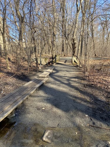 Best Hikes and Trails in Cold Spring Park | AllTrails