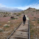 Culp Valley Overlook Trail, California - 203 Reviews, Map | AllTrails