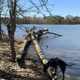 Eagle Point Trail, North Carolina - 236 Reviews, Map | AllTrails