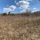 Morgan Run Natural Environmental Area Trails, Maryland - 417 Reviews ...
