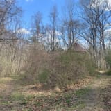 Morgan Run Natural Environmental Area Trails, Maryland - 351 Reviews ...