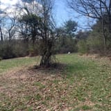 Morgan Run Natural Environmental Area Trails, Maryland - 417 Reviews ...
