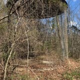 Morgan Run Natural Environmental Area Trails, Maryland - 417 Reviews ...