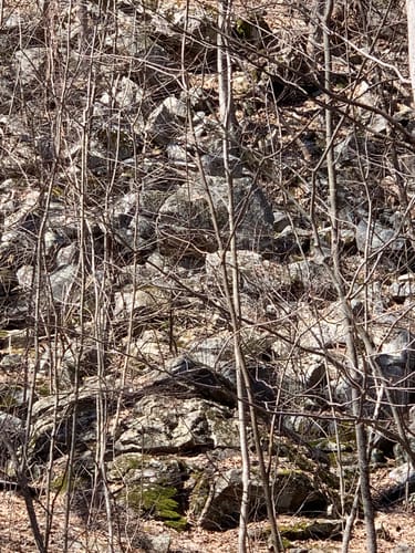 Best Hikes and Trails in God's Acre | AllTrails