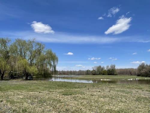 Best Hikes and Trails in Perrin Family Park | AllTrails