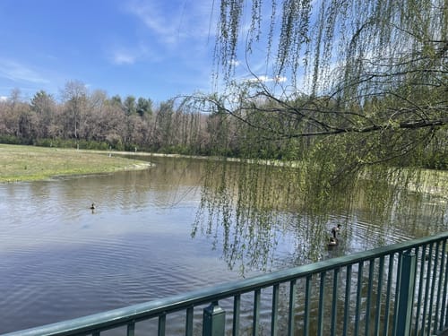Best Hikes and Trails in Perrin Family Park | AllTrails