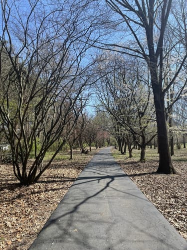 Best Hikes and Trails in Perrin Family Park | AllTrails