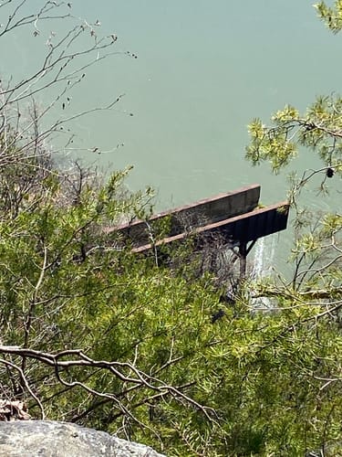 Best Hikes and Trails in Chestnut Grove Natural Area | AllTrails