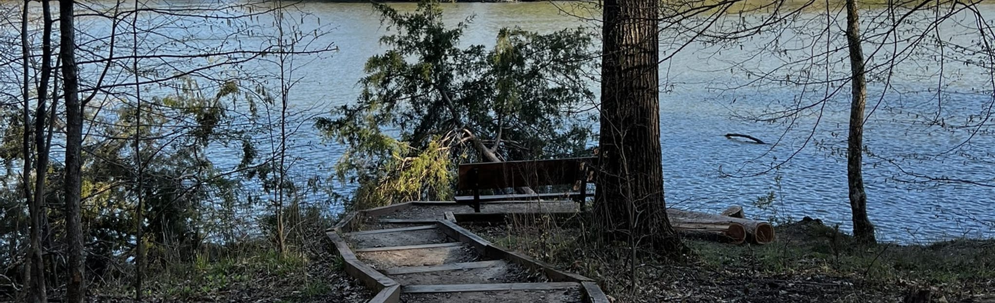 High Ridge Trail and Shoreline Trail Loop: 1263 Reviews, Map ...