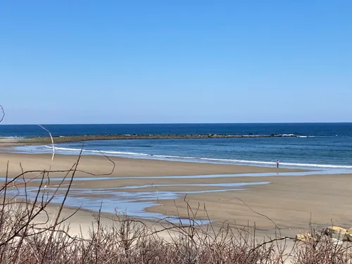 Best Hikes and Trails in Sandy Point State Reservation | AllTrails