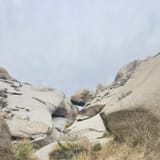 Grapevine Canyon Trail, Nevada - 485 Reviews, Map | AllTrails