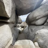 Grapevine Canyon Trail, Nevada - 485 Reviews, Map | AllTrails