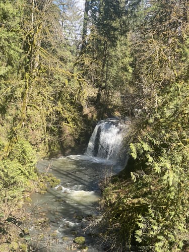Best Hikes and Trails in Hidden Falls Nature Park | AllTrails