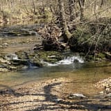 Slaughter Pen Hollow Trail, Arkansas - 312 Reviews, Map | AllTrails