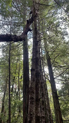 Best Hikes and Trails in Faulkner County Park | AllTrails