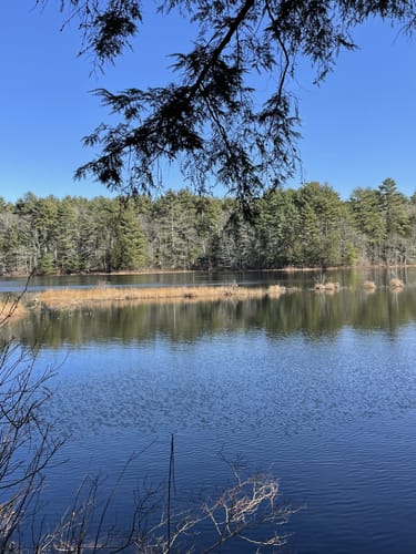 2023 Best 10 Long Trails in West Greenwich | AllTrails