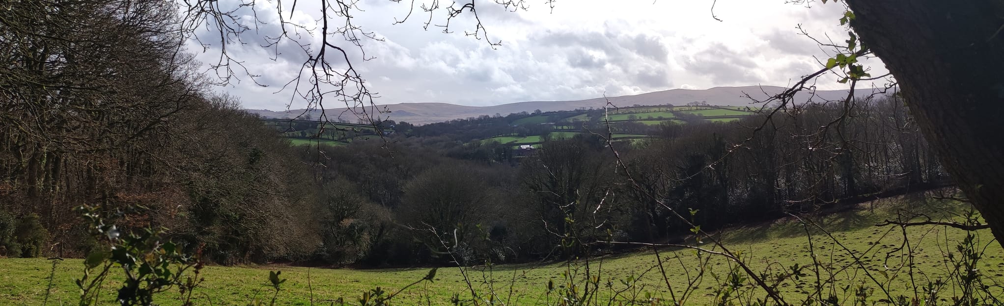 Pengelli Woods Circular, Pembrokeshire, Wales - 45 Reviews, Map | AllTrails