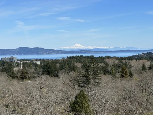 Best Hikes and Trails in Mount Tolmie Park | AllTrails