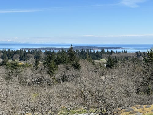 Best Hikes and Trails in Mount Tolmie Park | AllTrails